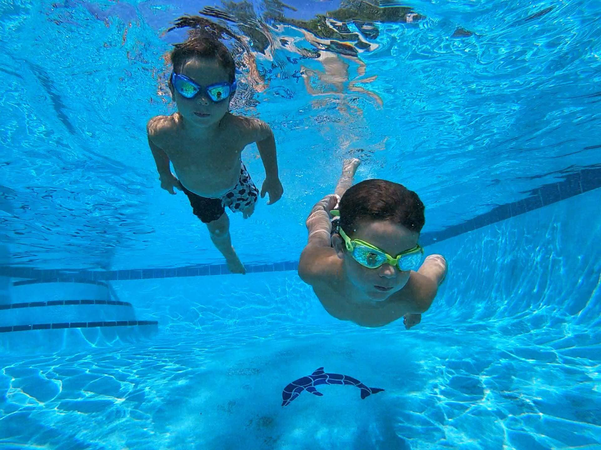 Home - Pinewood Pools - Swimming Pool services and repairs